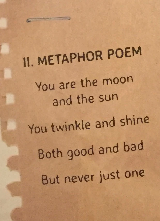 Metaphor Poem | Chloe Lukasiak Wiki | Fandom