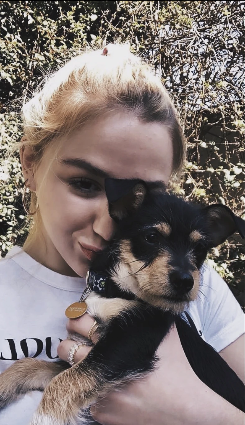 Sir Barnaby/Gallery | Chloe Lukasiak Wiki | Fandom
