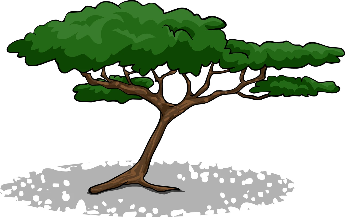 Acacia Tree | Club Penguin Online Wiki | Fandom