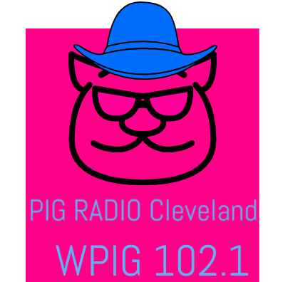 WPIG-FM | The OFFICIAL Fictional Radio Stations Wiki | Fandom
