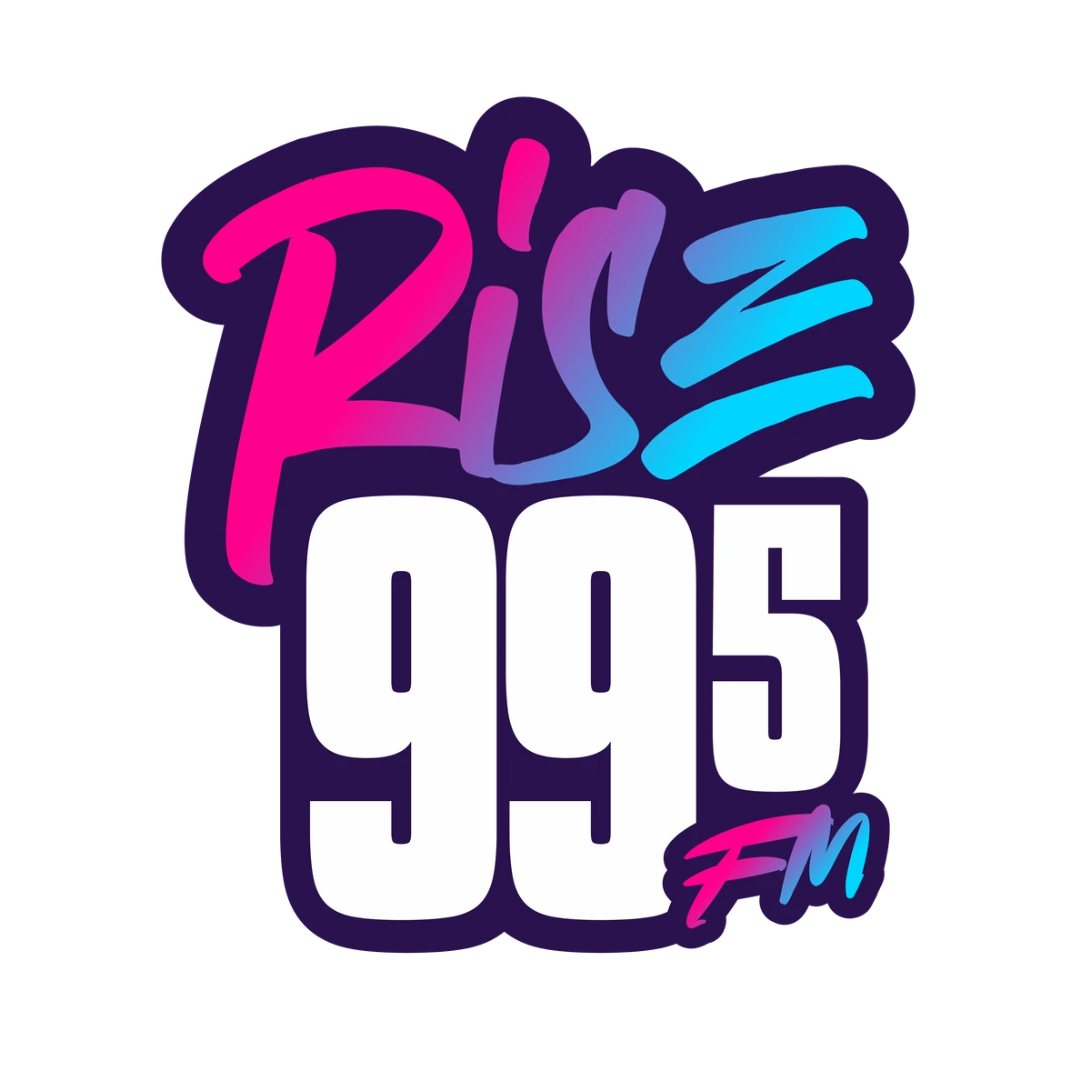 WRSE-FM | The OFFICIAL Fictional Radio Stations Wiki | Fandom