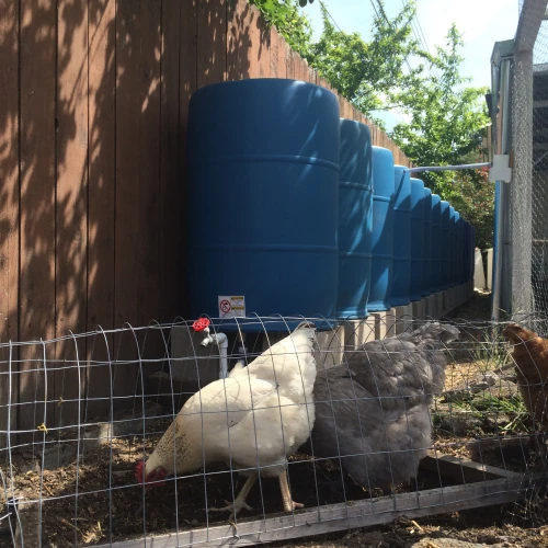 Blue Barrels | The Official Mario Wiki | Fandom