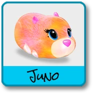 Juno (2015) | Official ZhuZhu Pets Wiki | Fandom