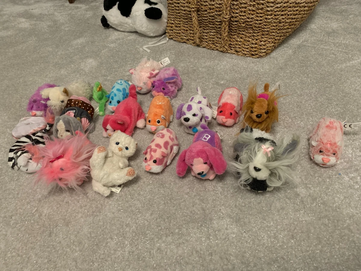 ZhuZhu Pets/2009 | Official ZhuZhu Pets Wiki | Fandom