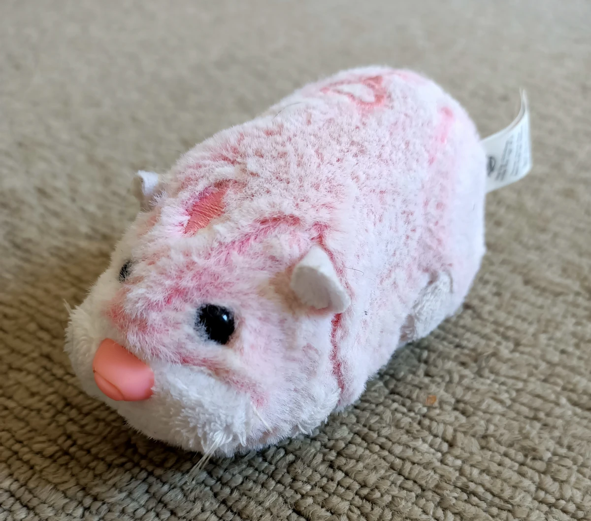 Types of ZhuZhu Pets | Official ZhuZhu Pets Wiki | Fandom
