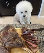 Bimbus | OfflineTVandFriends Wiki | Fandom