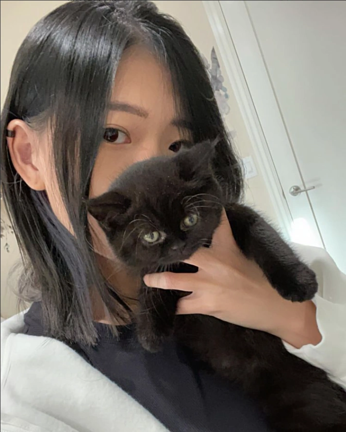 Lil' Cat | OfflineTVandFriends Wiki | Fandom