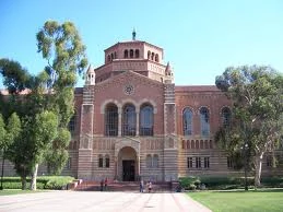 The Story of College Misfits | OFIBTY Wiki | Fandom