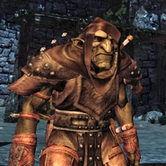 Styx | Of Orcs and Men Wiki | Fandom