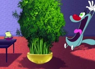 Roachy Redneck | Oggy and the Cockroaches Wiki | Fandom