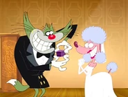 Just Married! | Oggy and the Cockroaches Wiki | Fandom