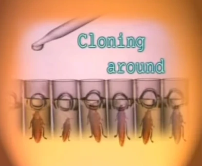 Cloning Around | Oggy and the Cockroaches Wiki | Fandom