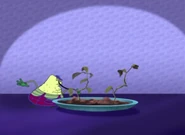 Roachy Redneck | Oggy and the Cockroaches Wiki | Fandom