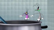 The Kitchen Boy | Oggy and the Cockroaches Wiki | Fandom