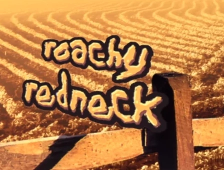 Roachy Redneck | Oggy and the Cockroaches Wiki | Fandom