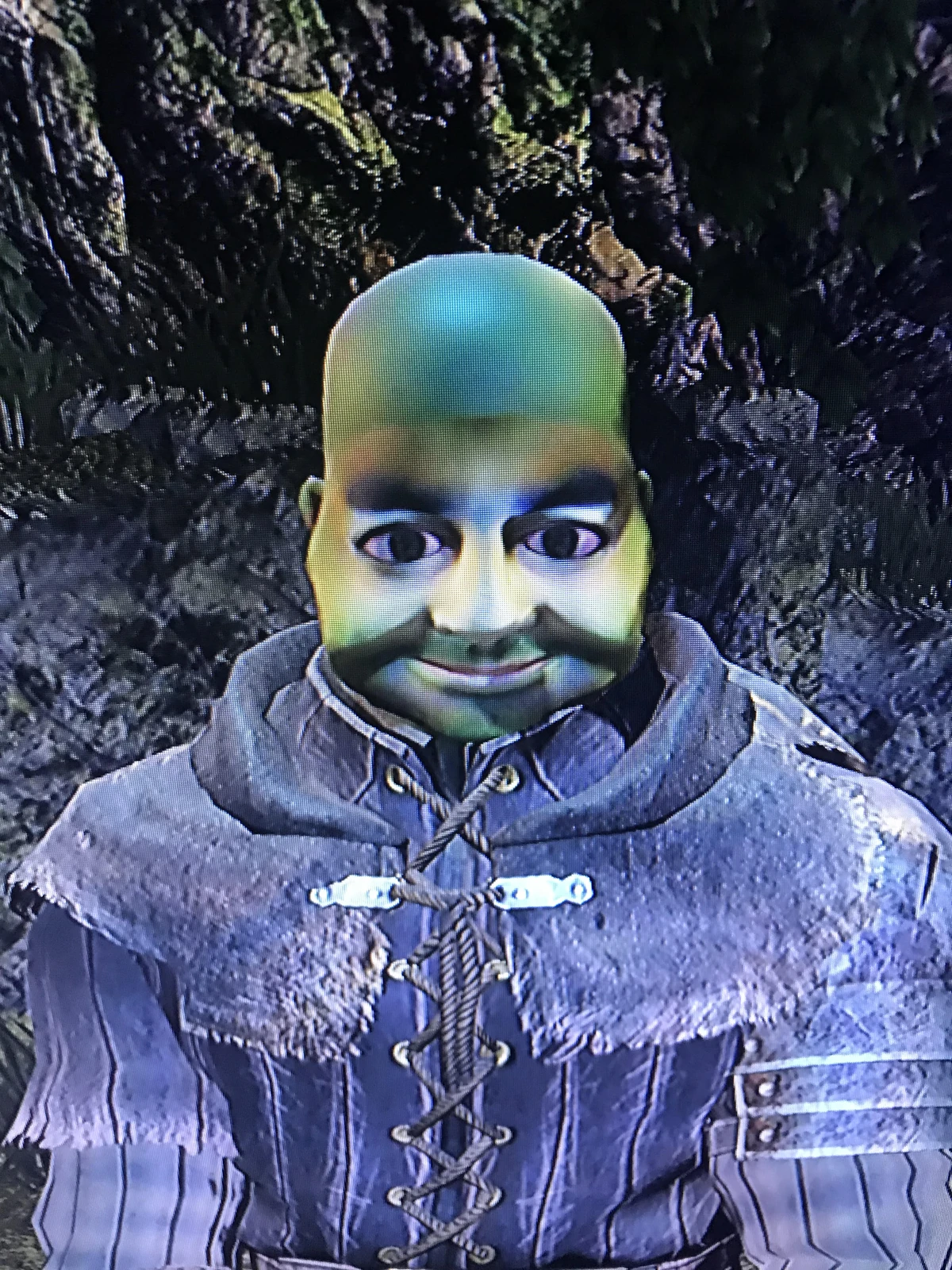 Ogre | Ogre's Chronicles Wiki | Fandom