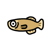 Fish | Ogu and the Secret Forest Wiki | Fandom