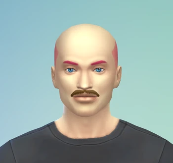 Bald Martin (Sims Universe) | Oh dear Wiki | Fandom
