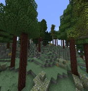 Overworld Biomes | Oh The Biomes We've Gone Wiki | Fandom