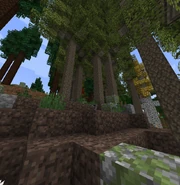 Overworld Biomes | Oh The Biomes We've Gone Wiki | Fandom