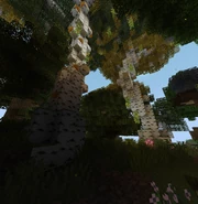 Overworld Biomes | Oh The Biomes We've Gone Wiki | Fandom