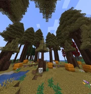 Overworld Biomes | Oh The Biomes We've Gone Wiki | Fandom