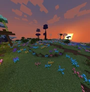 Overworld Biomes | Oh The Biomes We've Gone Wiki | Fandom