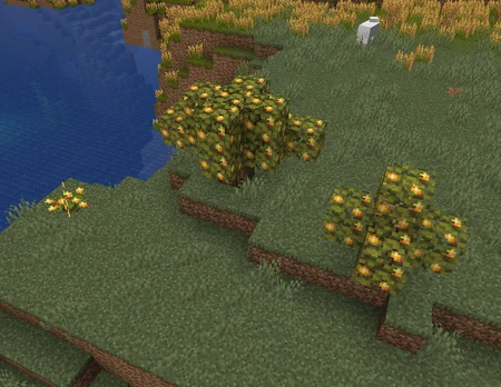 Firecracker Chaparral | Oh The Biomes We've Gone Wiki | Fandom