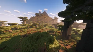 Overworld Biomes | Oh The Biomes We've Gone Wiki | Fandom