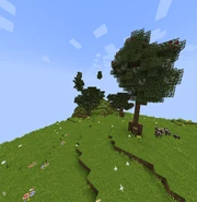Overworld Biomes | Oh The Biomes We've Gone Wiki | Fandom