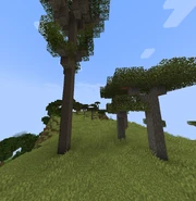 Overworld Biomes | Oh The Biomes We've Gone Wiki | Fandom