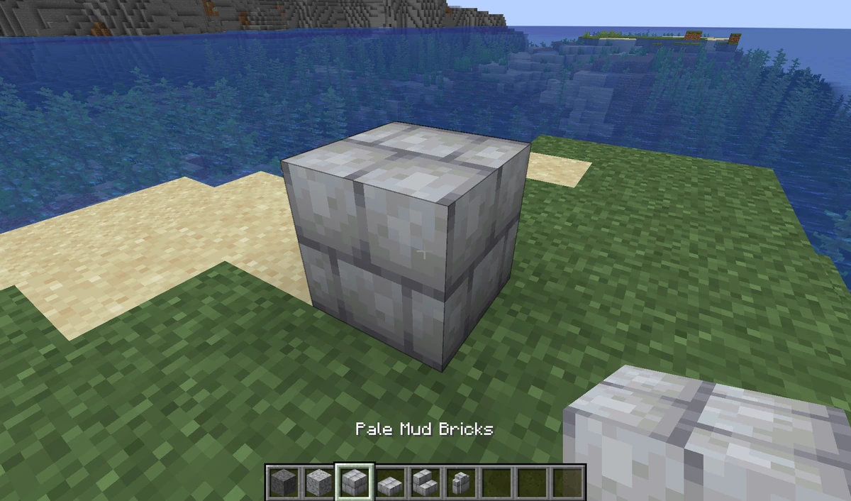 Pale Mud Bricks | Oh The Biomes We've Gone Wiki | Fandom