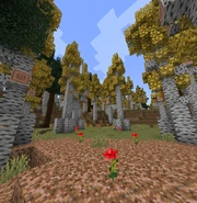 Overworld Biomes | Oh The Biomes We've Gone Wiki | Fandom