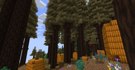 Cika Woods | Oh The Biomes We've Gone Wiki | Fandom