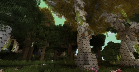 Overgrowth Woodlands | Oh The Biomes We've Gone Wiki | Fandom