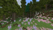 Black Forest | Oh The Biomes You'll Go Wiki | Fandom