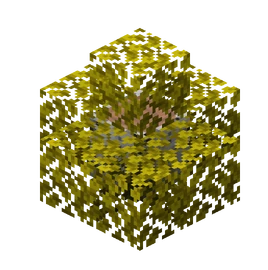 Aspen | Oh The Biomes You'll Go Wiki | Fandom