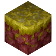 Nylium/gallery | Oh The Biomes You'll Go Wiki | Fandom