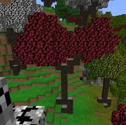 Maple tree | Oh The Biomes You'll Go Wiki | Fandom