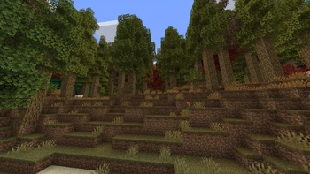 Seasonal Deciduous Forest | Oh The Biomes You'll Go Wiki | Fandom