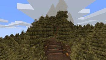 Cika Woods | Oh The Biomes You'll Go Wiki | Fandom