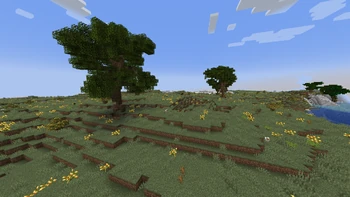 Firecracker Shrubland | Oh The Biomes You'll Go Wiki | Fandom