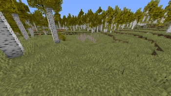Aspen Forest | Oh The Biomes You'll Go Wiki | Fandom