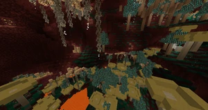 Nether Biomes | Oh The Biomes You'll Go Wiki | Fandom
