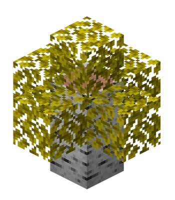 Aspen | Oh The Biomes You'll Go Wiki | Fandom