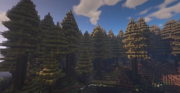 Cika Woods | Oh The Biomes You'll Go Wiki | Fandom