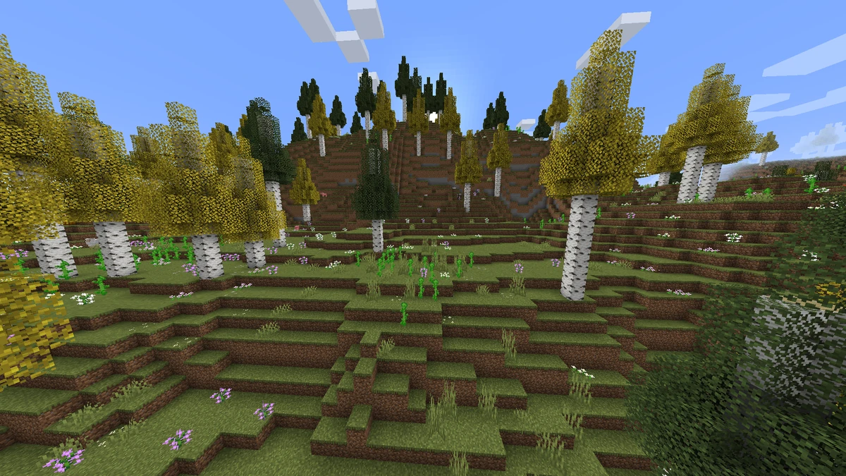 Temperate Grove | Oh The Biomes You'll Go Wiki | Fandom
