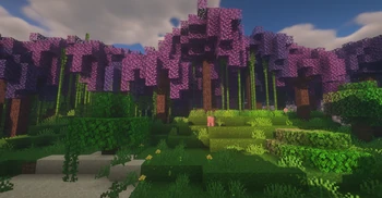 Jacaranda Forest | Oh The Biomes You'll Go Wiki | Fandom