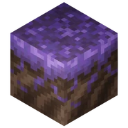 Nylium/gallery | Oh The Biomes You'll Go Wiki | Fandom