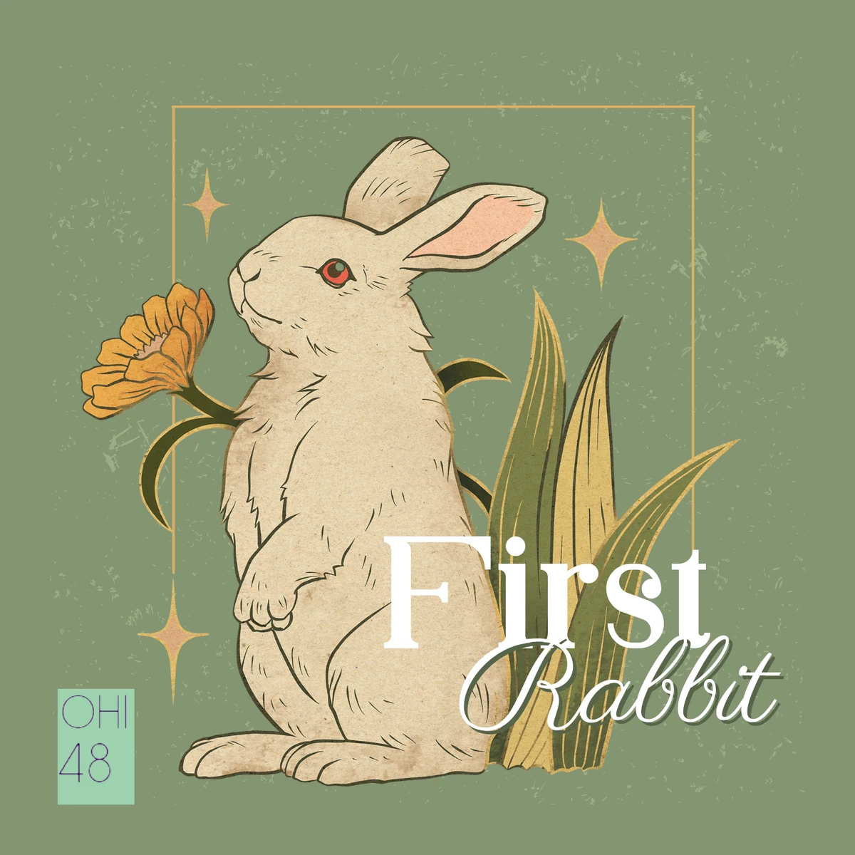 First Rabbit | OHI48 Wiki | Fandom